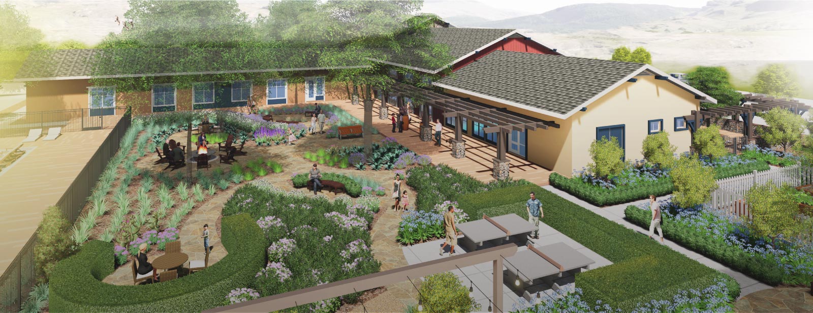 Harvest at Limoneira