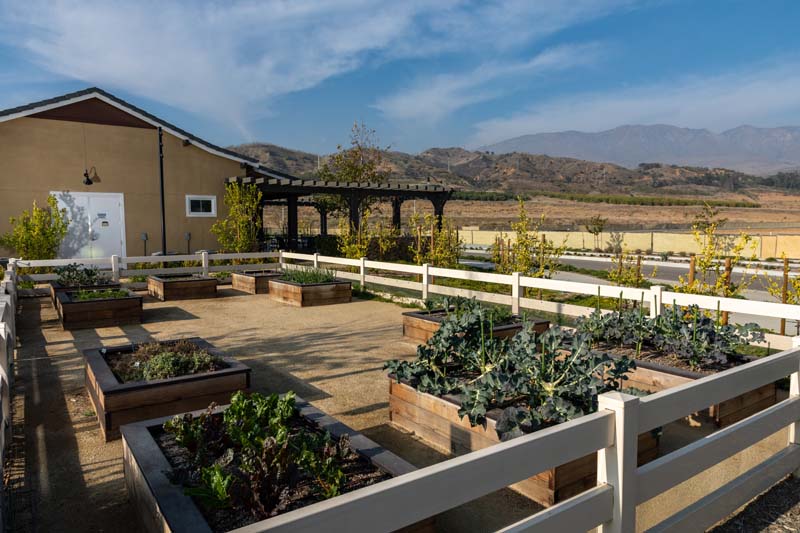 It’s A Wonder-Fall Life - Harvest at Limoneira