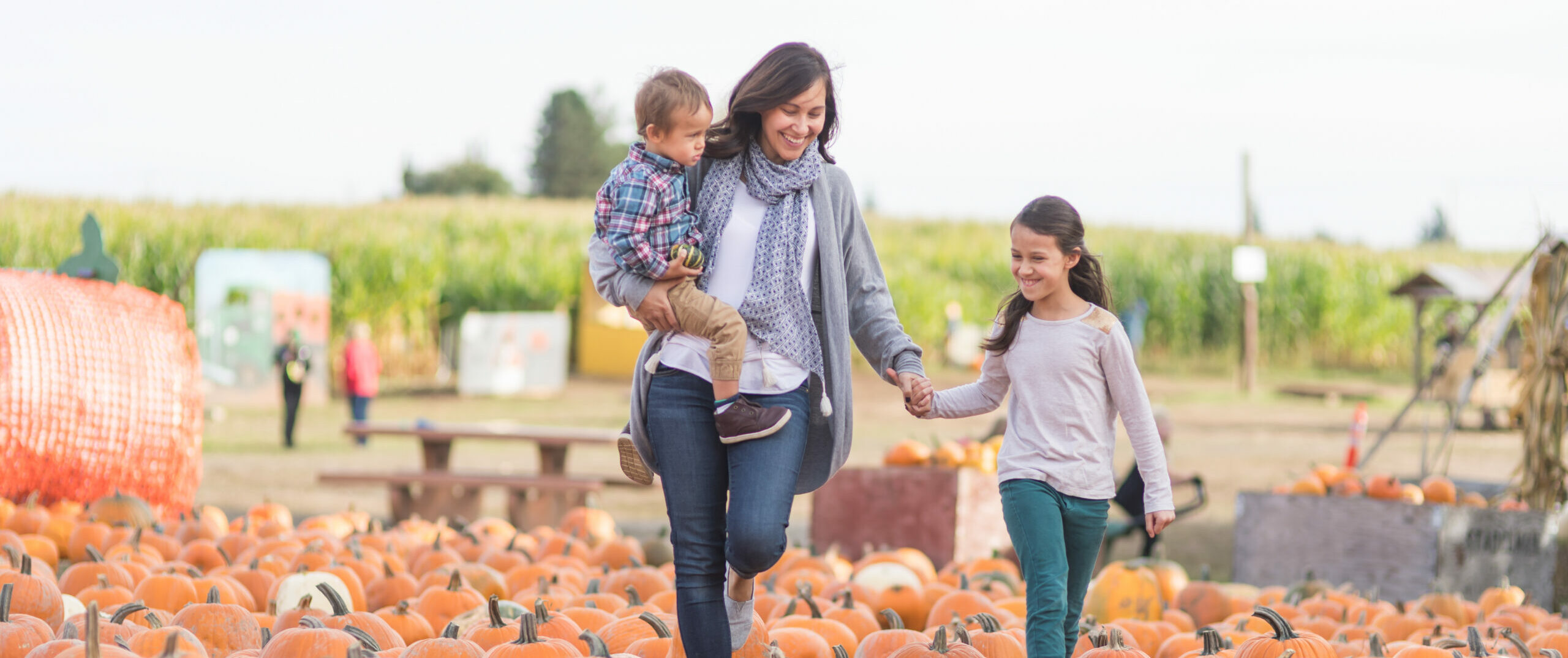 It’s A Wonder-Fall Life - Harvest at Limoneira