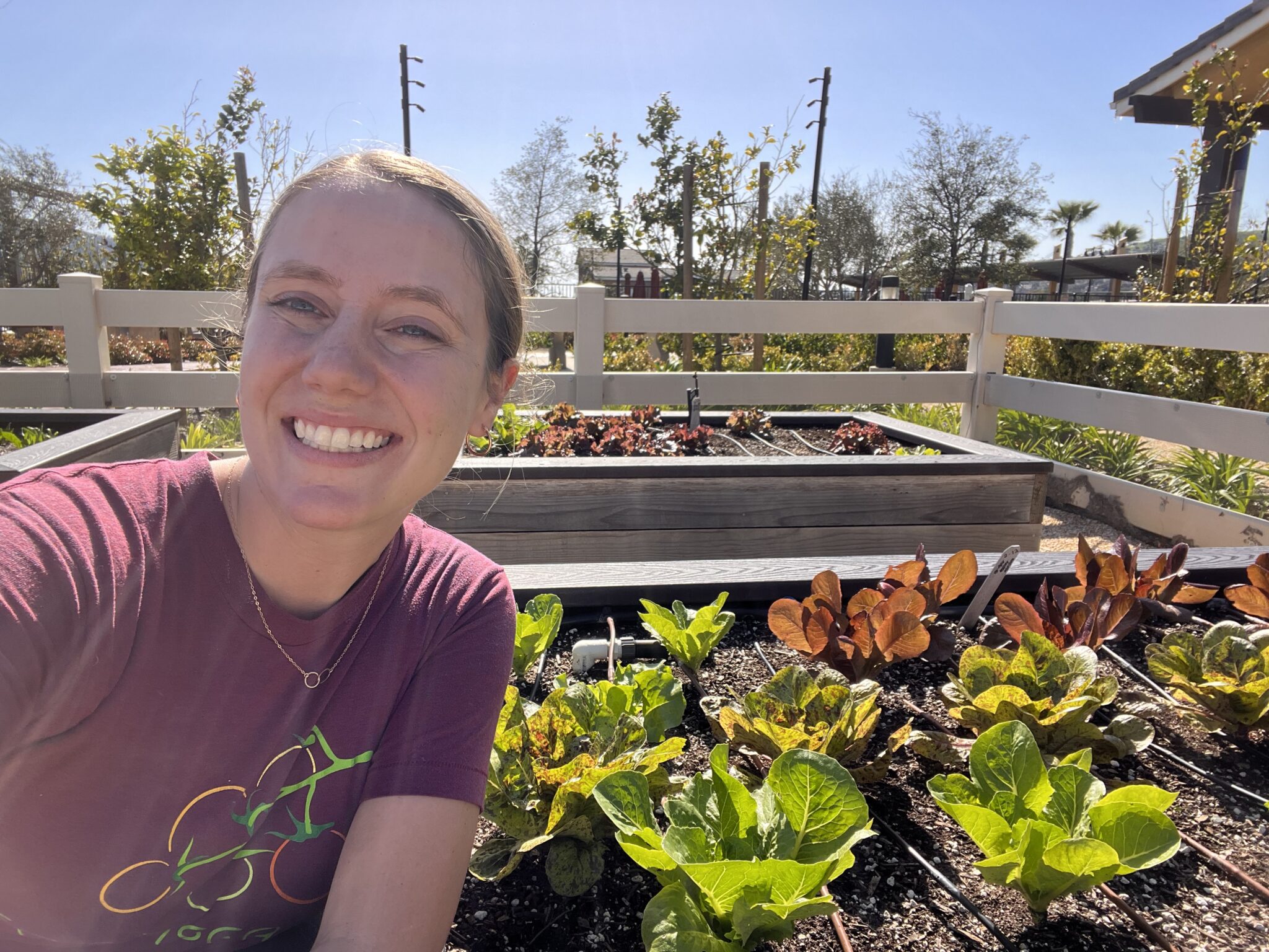 Homegrown at Harvest at Limoneira - Harvest at Limoneira