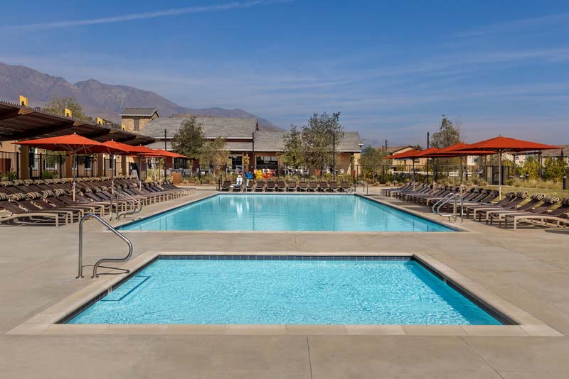 A Few of Our Favorite Things - Harvest at Limoneira